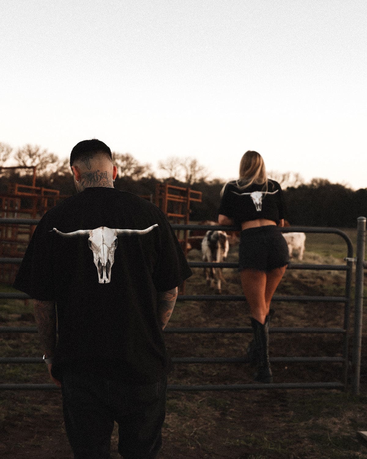 Bull T-shirt – FADED CULTURE